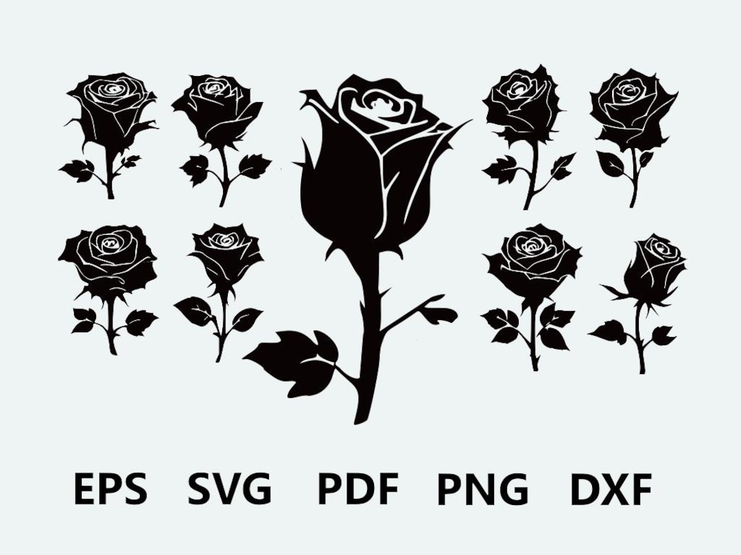 Rose Bundle, 9 Floral Designs Transparent or Customizable Colors Svg ...