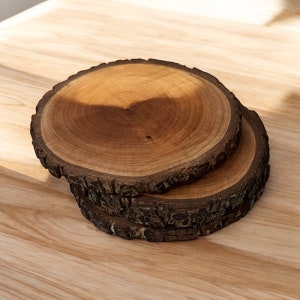 Rustic Oak Wood Coasters: Handcrafted Natural Tree Slices - Etsy