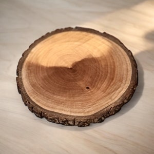 Rustic Oak Wood Coasters: Handcrafted Natural Tree Slices - Etsy