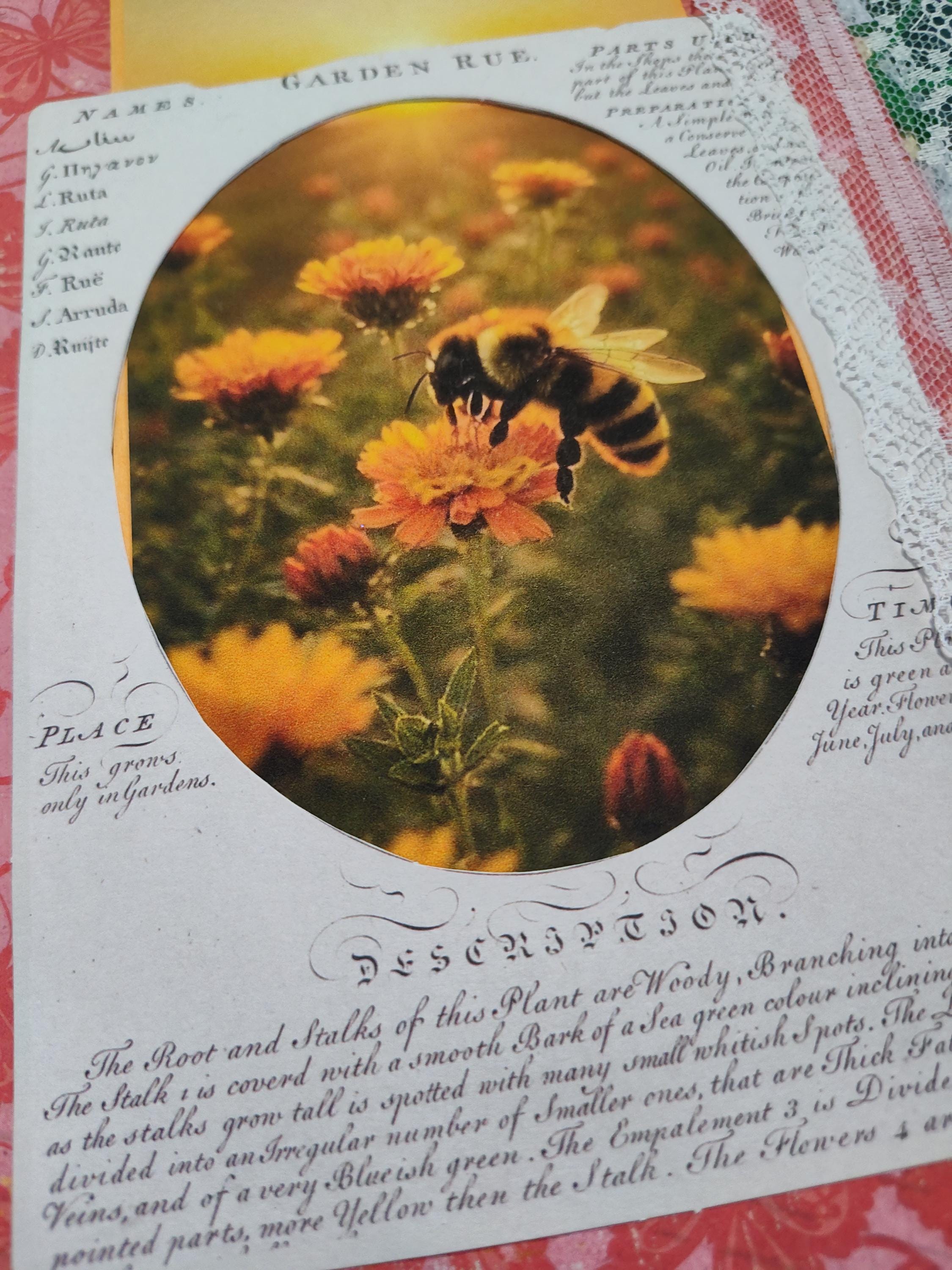 Sunshine Journal - Handmade - Etsy
