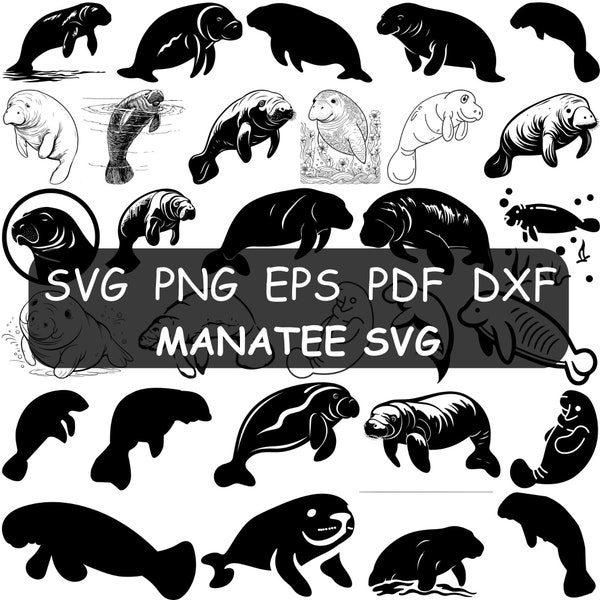 Manatee Svg - Etsy