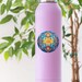 Psychedelic Vinyl Stickers - Waterproof, Holographic, and Colorful ...