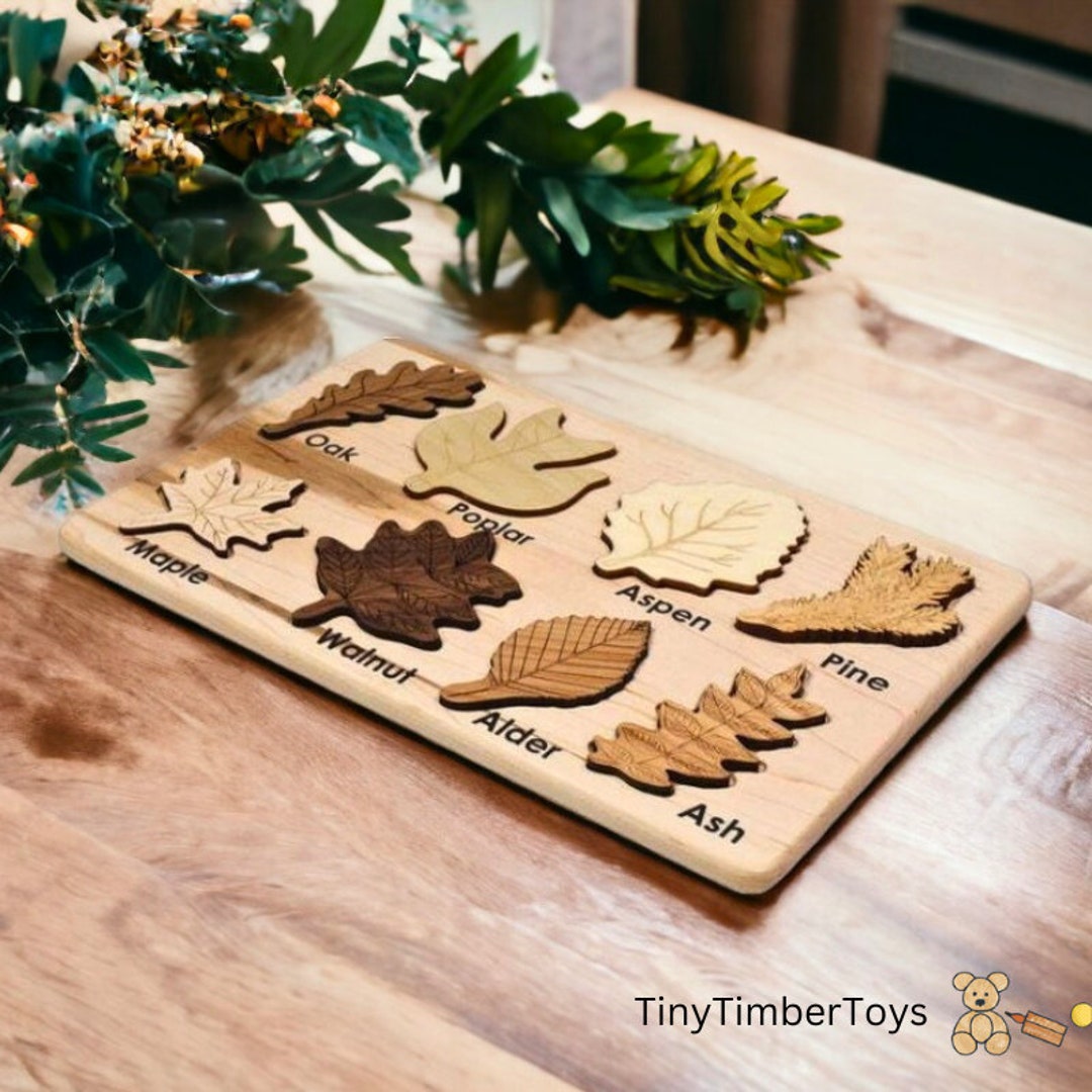 Wooden Leaf Puzzle Set, Wooden Educational Toys for Kids, Birthday Gift ...