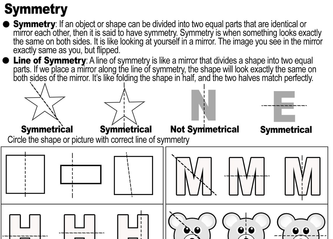 Educational Congruent Symmetry Transformation Posters, Kids Activity 3 ...