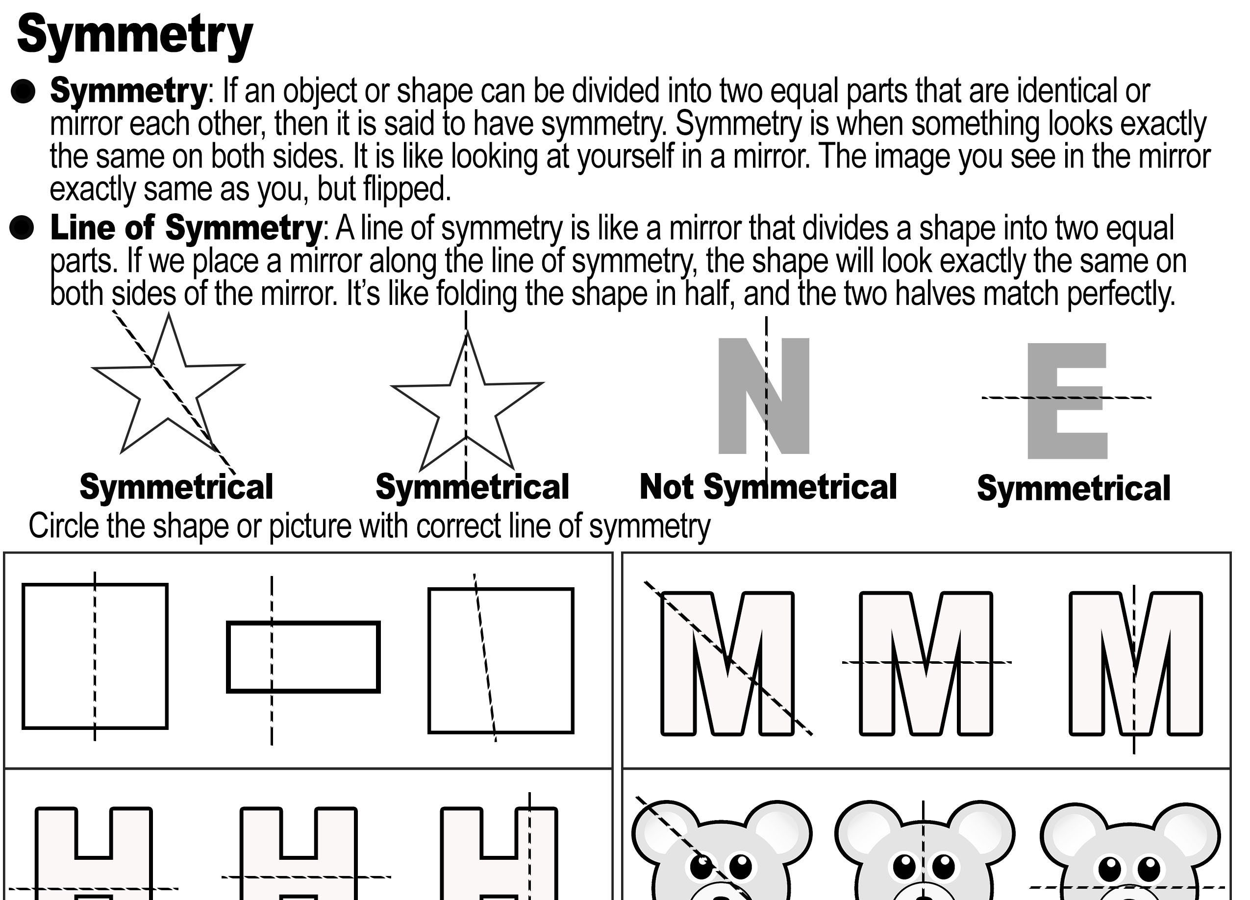 Educational Congruent Symmetry Transformation Posters, Kids Activity 3 ...