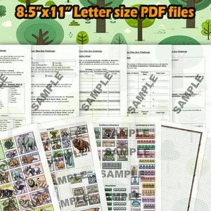 Area Perimeter Zoo Design Math Activity for Kids| Cost Calculations ...