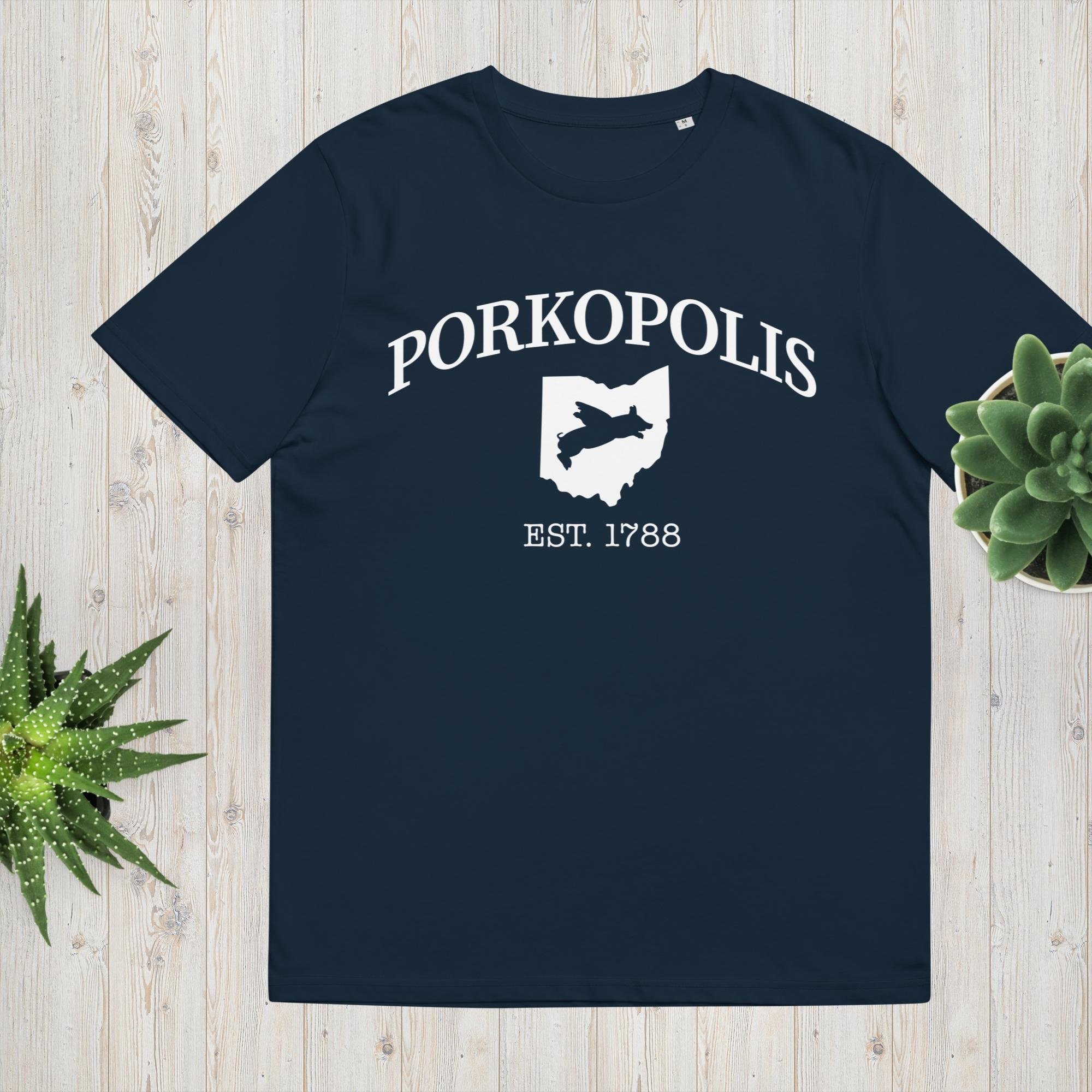 Retro Cincinnati Ohio History Vintage Nostalgia Throwback Flying Pig ...