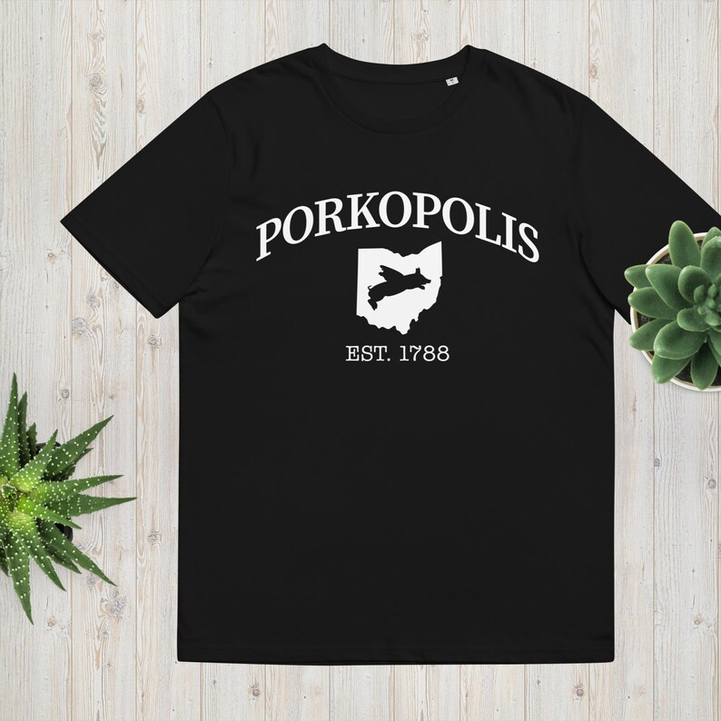 Retro Cincinnati Ohio History Vintage Nostalgia Throwback Flying Pig ...