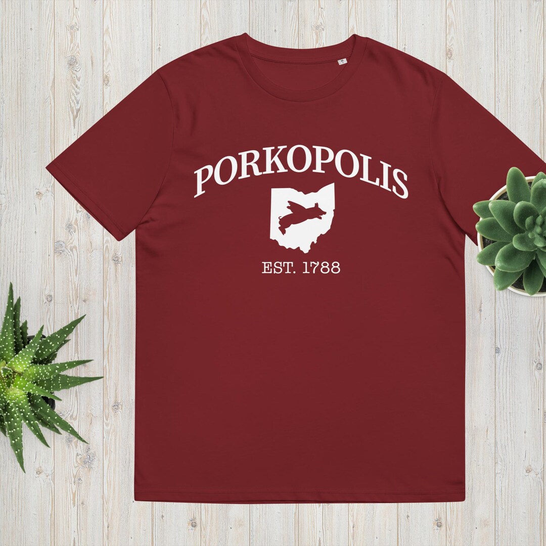 Retro Cincinnati Ohio History Vintage Nostalgia Throwback Flying Pig ...