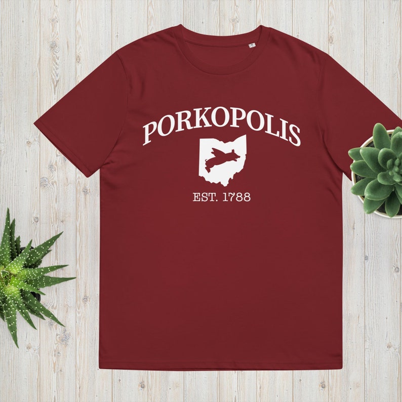 Retro Cincinnati Ohio History Vintage Nostalgia Throwback Flying Pig ...