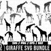 Giraffe SVG Bundle, Giraffe SVG, Africa Animal Svg, Giraffe Head ...
