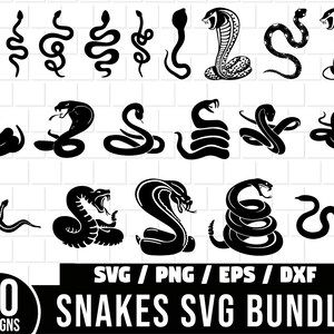 Snake Svg Bundle, Snake Clipart, Png, Boho Snake Svg, Snake Flowers Svg ...
