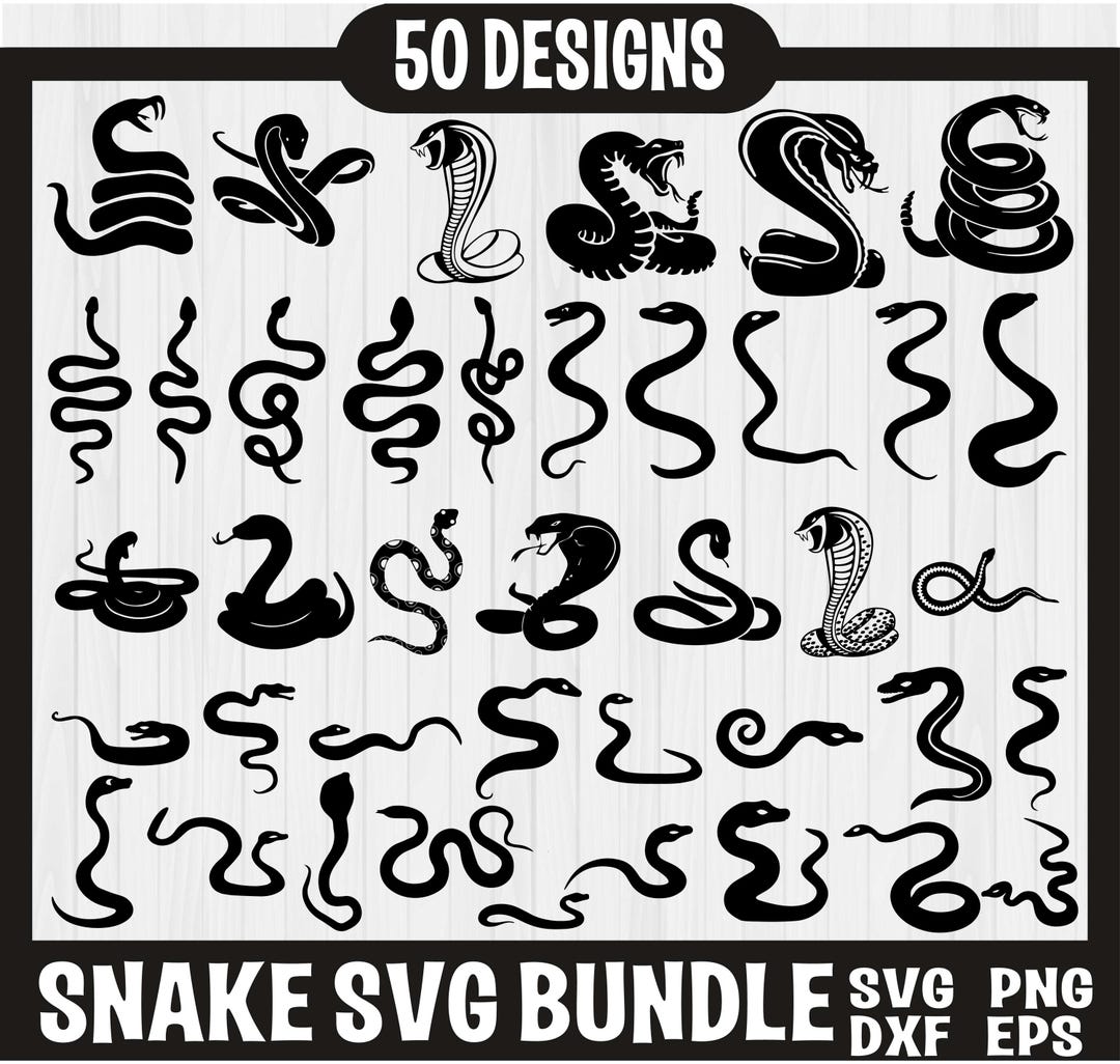Snake Svg Bundle, Snake Clipart, Png, Boho Snake Svg, Snake Flowers Svg ...