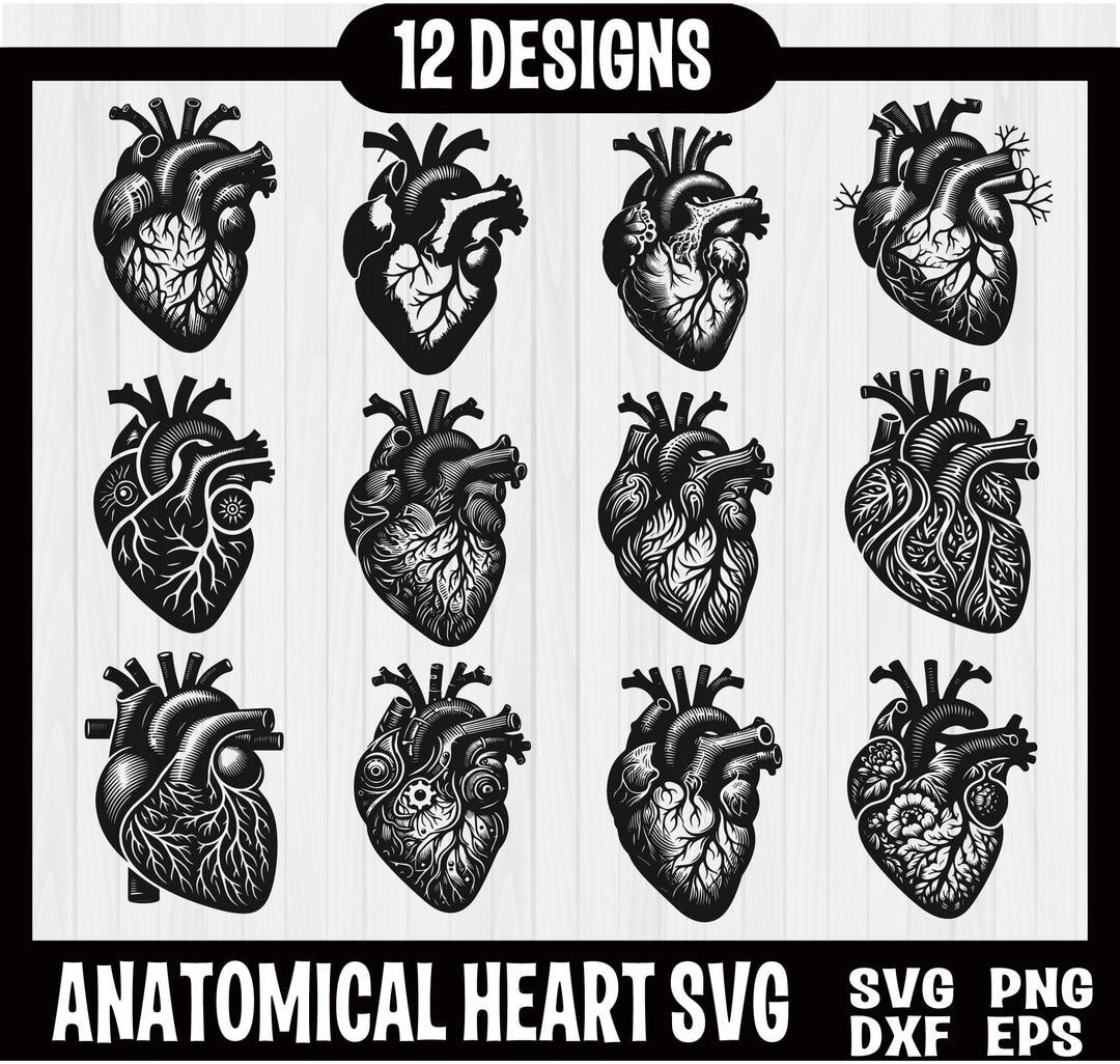 Anatomical Heart Svg Bundle, Flower Heart Svg, Nurse Life, Human Heart ...