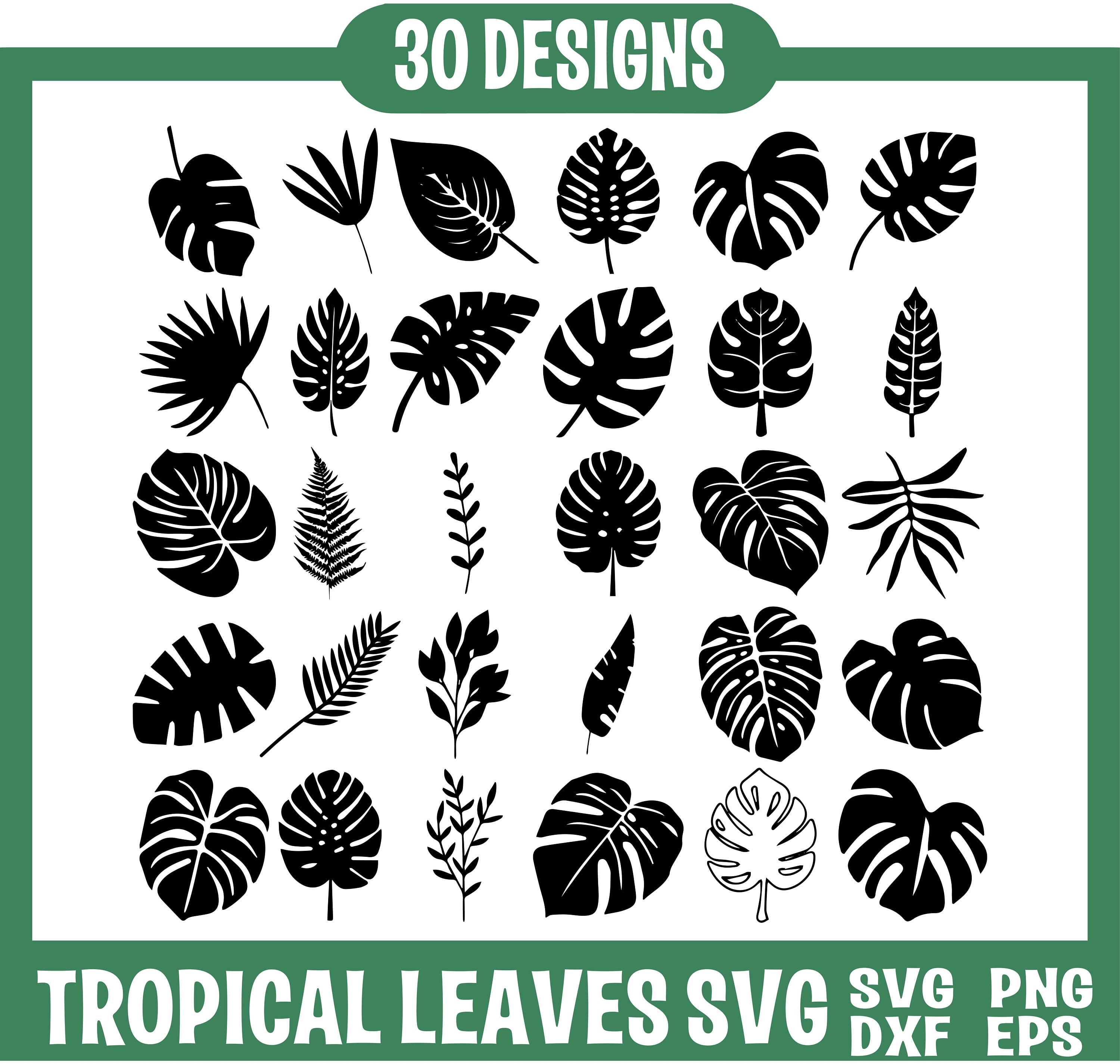 Tropical Leaves Svg Bundle, Tropical Leaf Svg, Palm Leaves Svg, Monstera Leaf Svg, Jungle Leaves ...