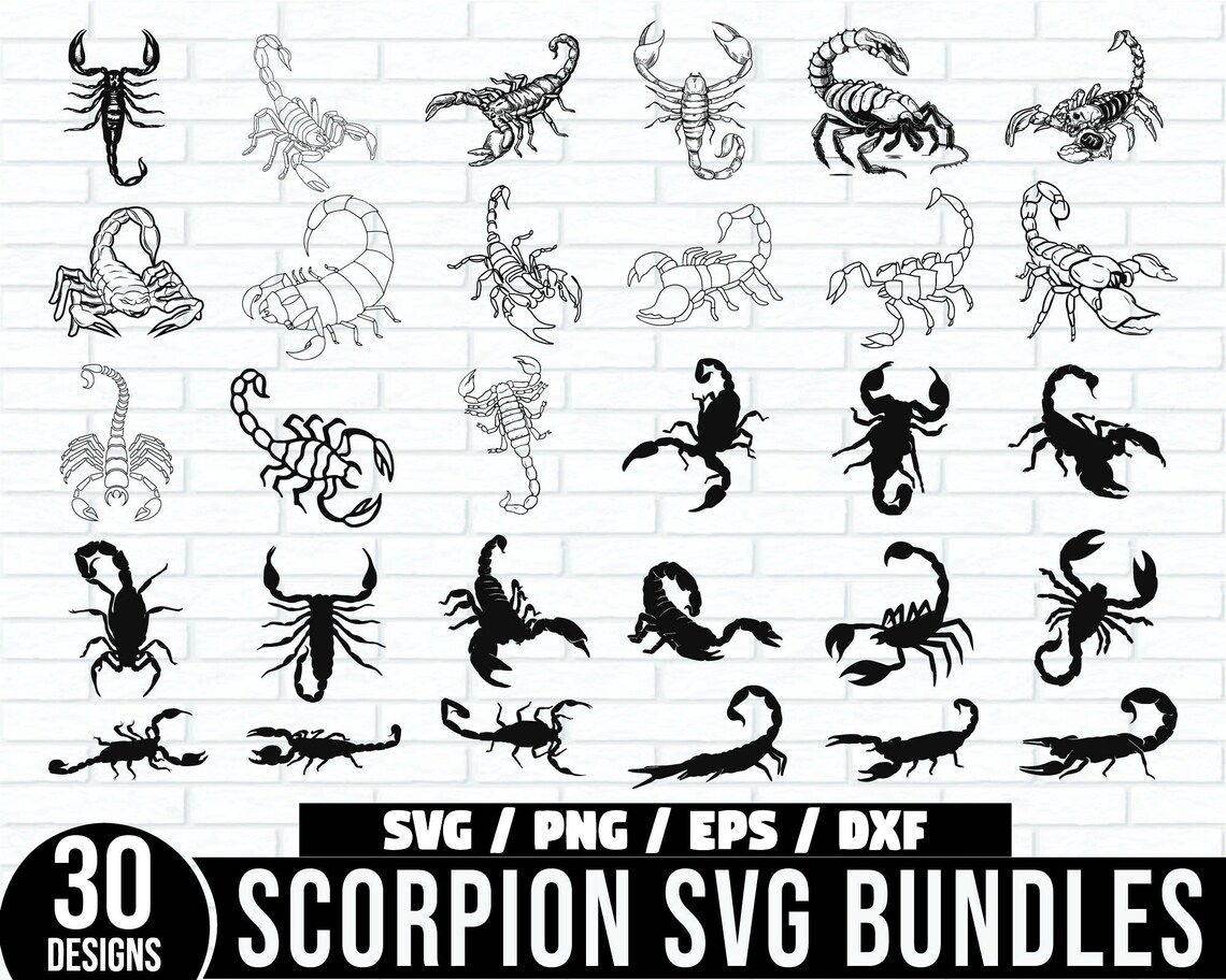 Scorpion SVG Bundle, Scorpion Svg, Scorpion Silhouette, Scorpion Vector ...