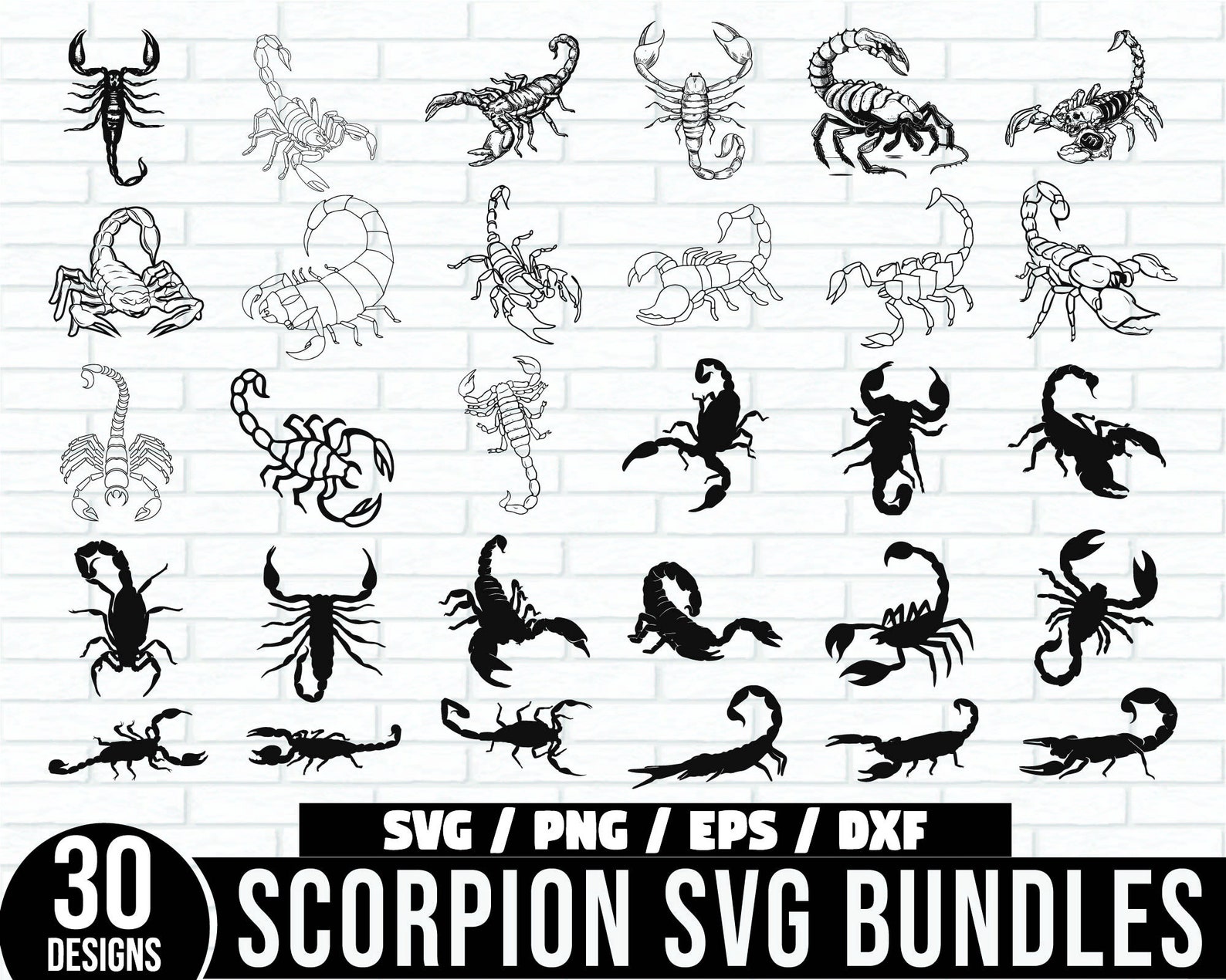 Scorpion SVG Bundle, Scorpion Svg, Scorpion Silhouette, Scorpion Vector ...