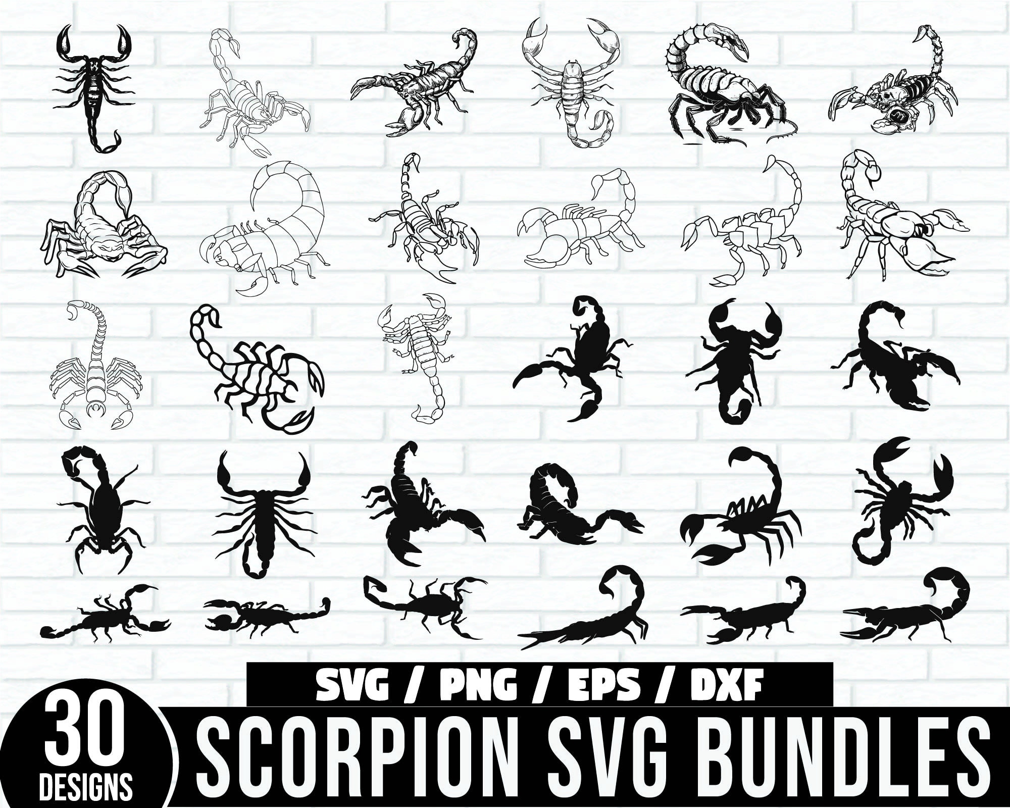 Scorpion SVG Bundle, Scorpion Svg, Scorpion Silhouette, Scorpion Vector, Scorpion Cut Files ...