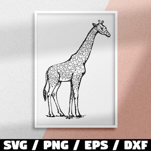Giraffe SVG Bundle, Giraffe SVG, Africa Animal Svg, Giraffe Head ...