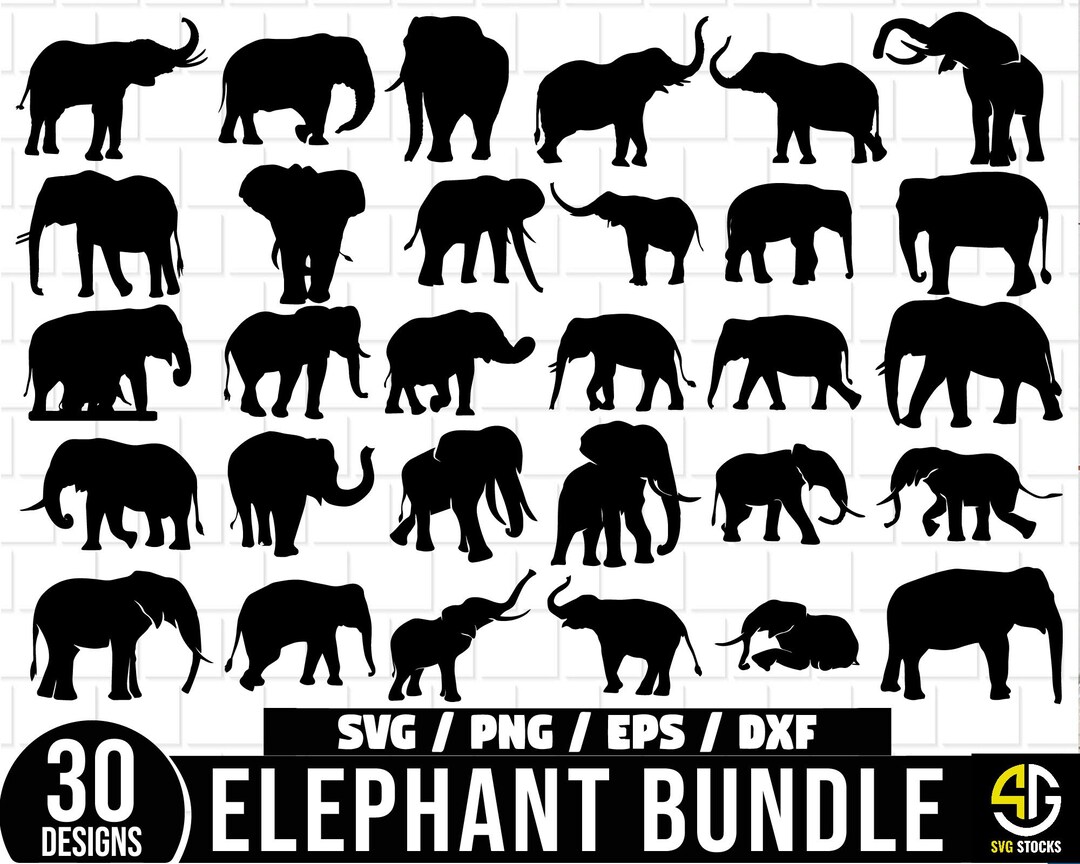 Elephant SVG Bundle, Elephant Svg, Wild Life Svg, Elephant Designs Svg ...
