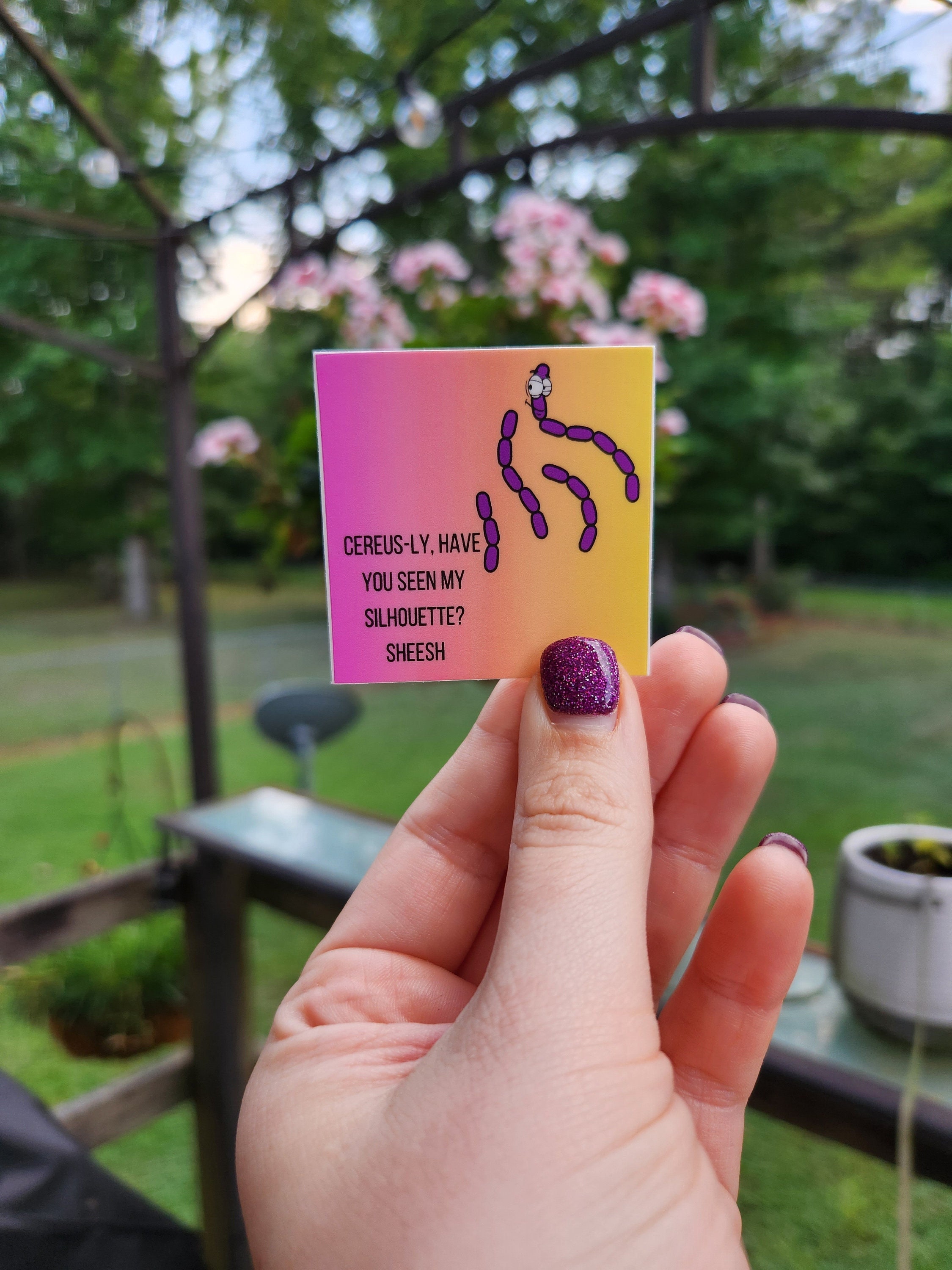 Microbiology Sticker, Bacillus Sticker - Etsy