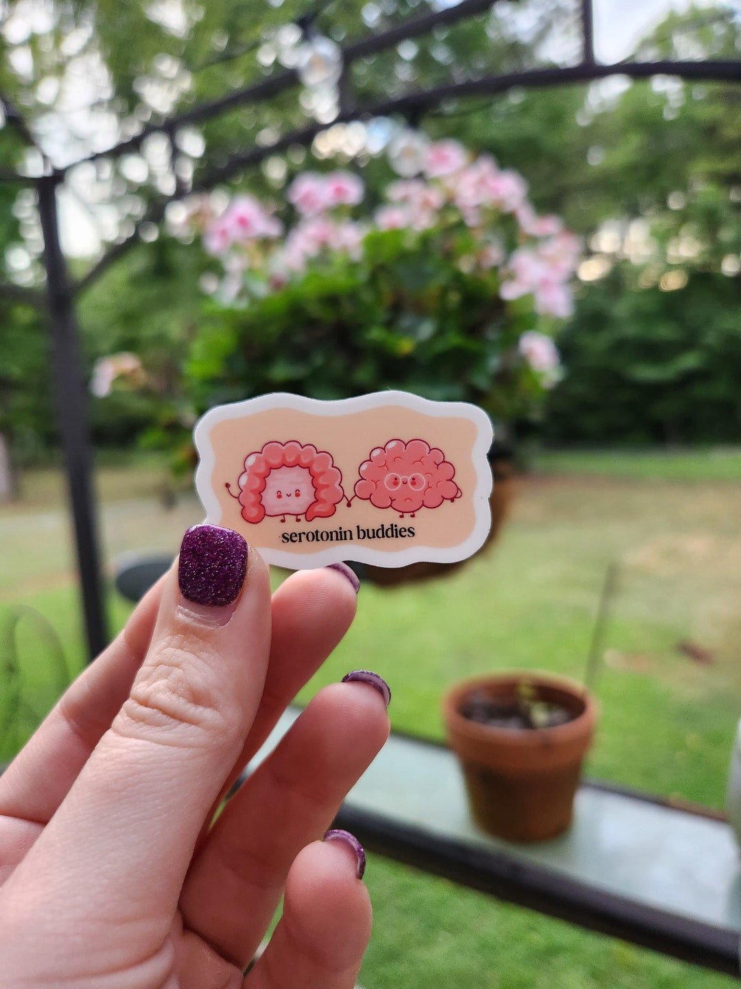 Serotonin Sticker, Anatomy Sticker, Brain Sticker, Medical Sticker - Etsy