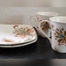 222 Fifth Jacobean Trail Mug and Salad/dessert Plate, Set of 2 - Etsy