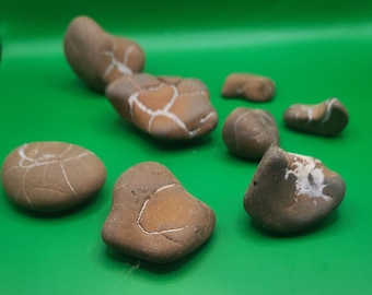 Michigan Lightning Stones - Septarian Nodules - Fossil Mud Cracks - 4 ...