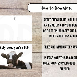 Printable Funny Birthday Card, Holy Cow You're Old, Offensive Greeting ...