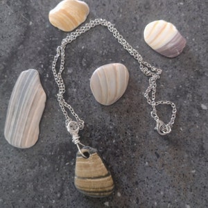 E163 Outer Banks Shell Necklace on 18 Stainless Steel Chain Made From ...