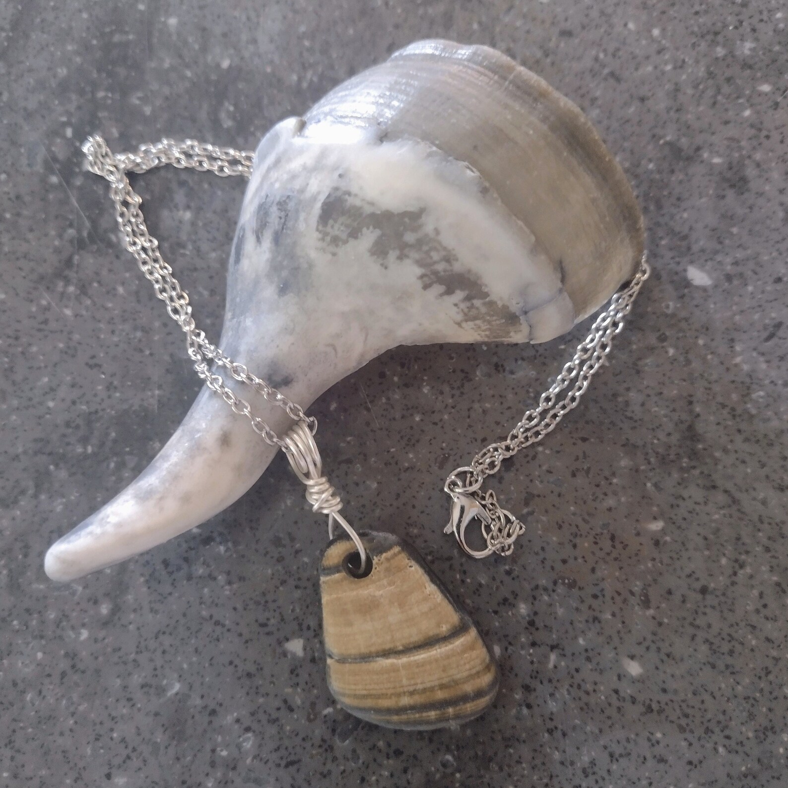 E163 Outer Banks Shell Necklace on 18 Stainless Steel Chain Made From ...