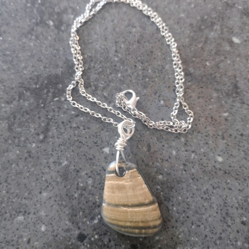 E163 Outer Banks Shell Necklace on 18 Stainless Steel Chain Made From ...