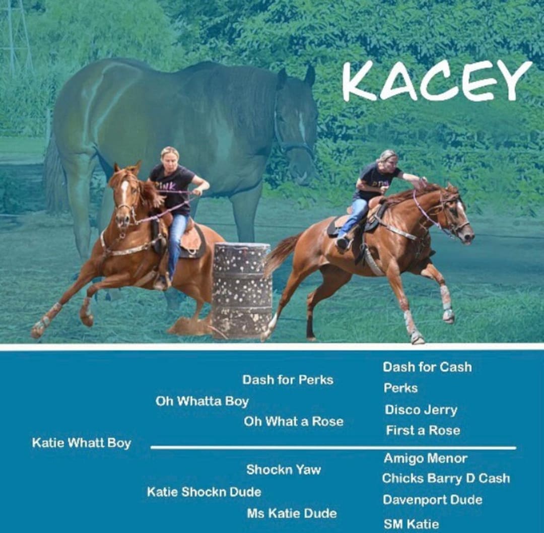 AQHA Registration Paper Digital Edit - Etsy
