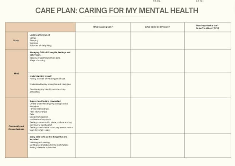 Client/patient Care Plan - Mental Health - Etsy