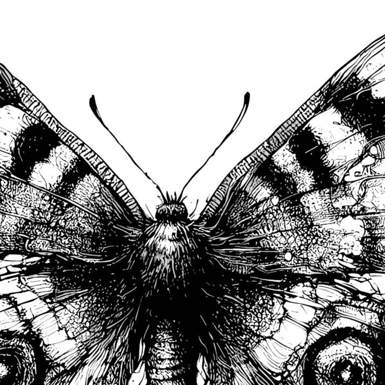 Set of 6 Insect Line Drawings A4 Printable Art Full Digital Set 300 DPI ...