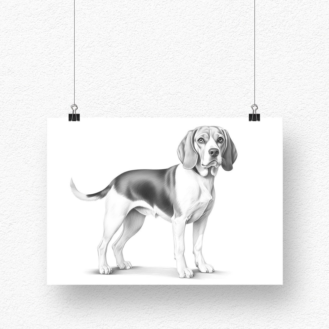 Beagle Sketch, Black and White Print, Digital Print, Wall Art ...