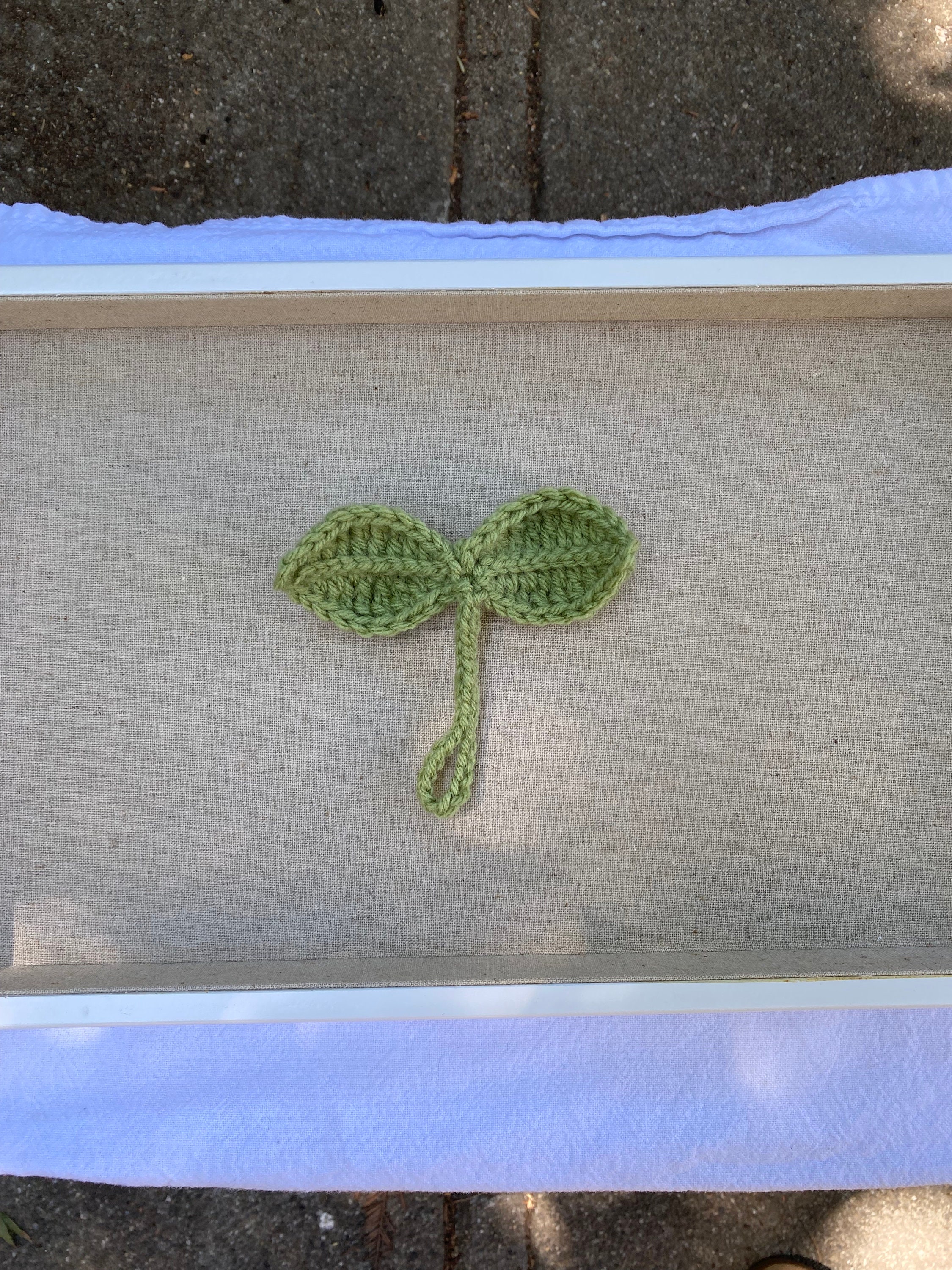 Crochet Plant Sprout - Etsy