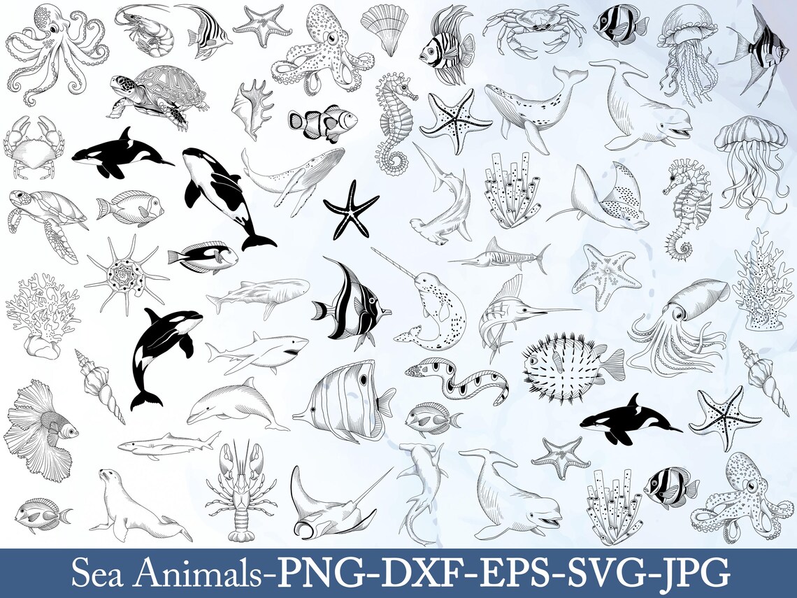 Sea Animals Line Art Collection, Sea Animals Svg Png, Under the Sea ...