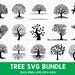 Tree Svg Bundle, Family Tree Svg Bundle, Tree Roots Svg, Our Roots SVG ...