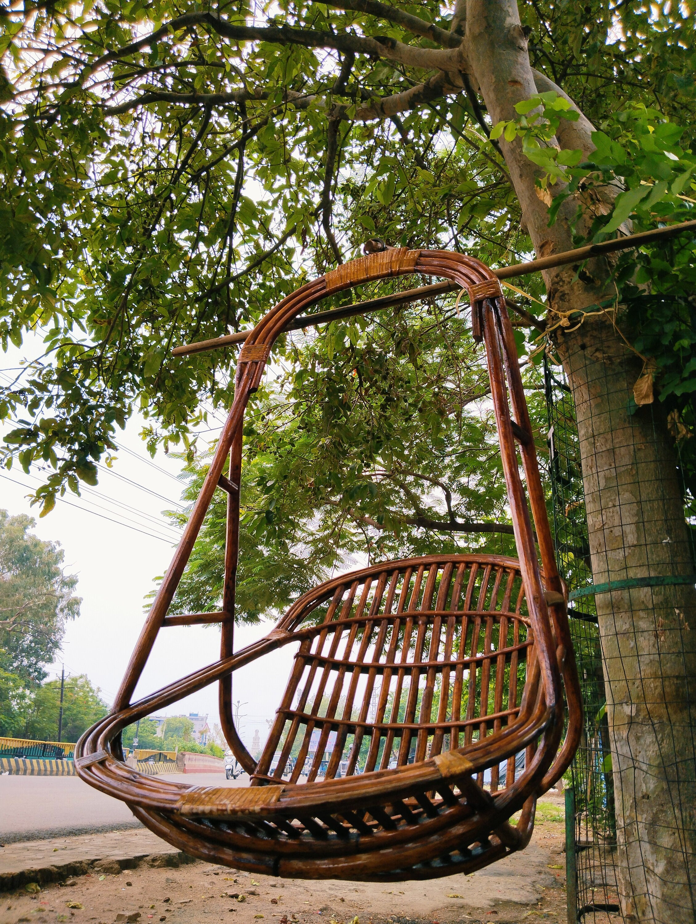 Bamboo Chair Tree Swing