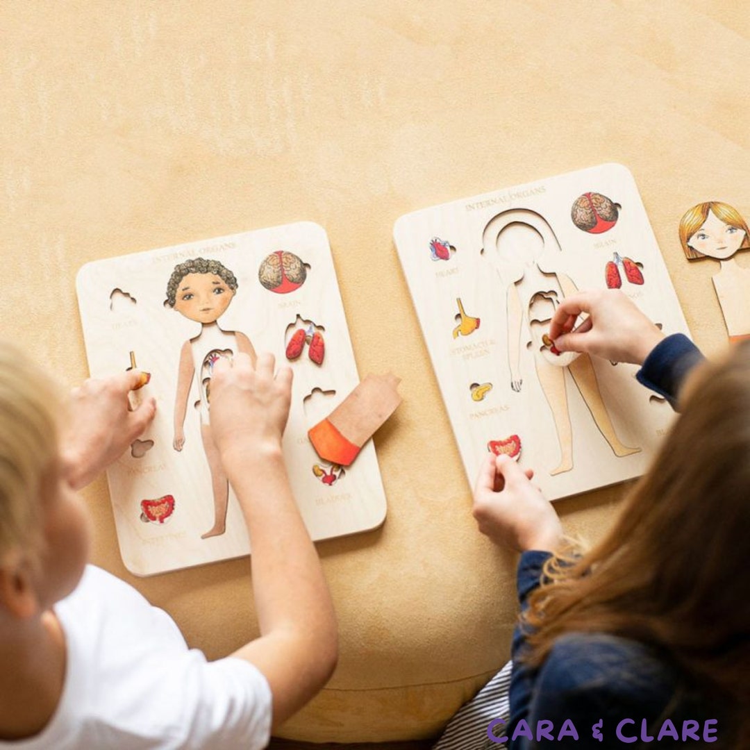 Montessori Wooden Human Body Toy: Wooden Montessori Toddler - Etsy