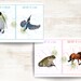Animal Classification Anatomy Unit Study Printable Homeschool ...