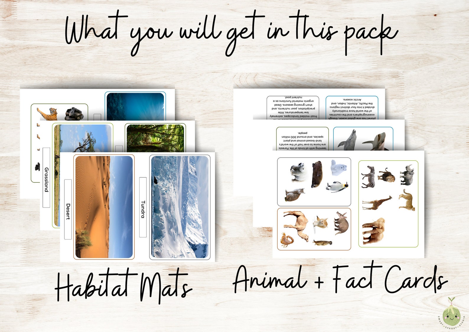 Animal Matching Habitat Unit Study Printable Homeschool Activities for ...