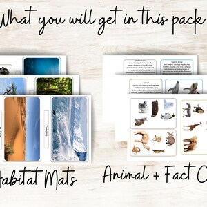 Animal Matching Habitat Unit Study Printable Homeschool Activities for ...