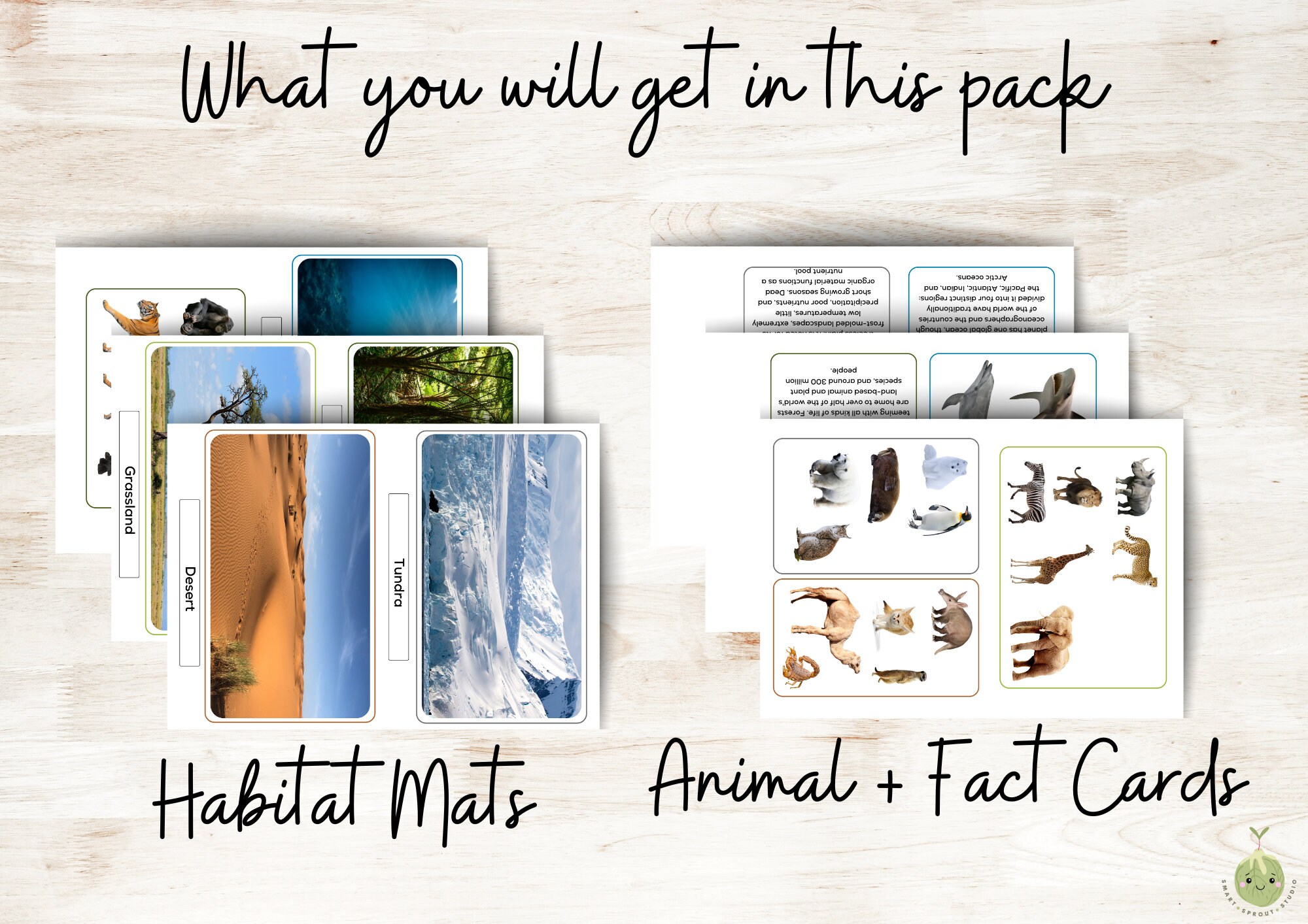 Animal Matching Habitat Unit Study Printable Homeschool Activities for ...