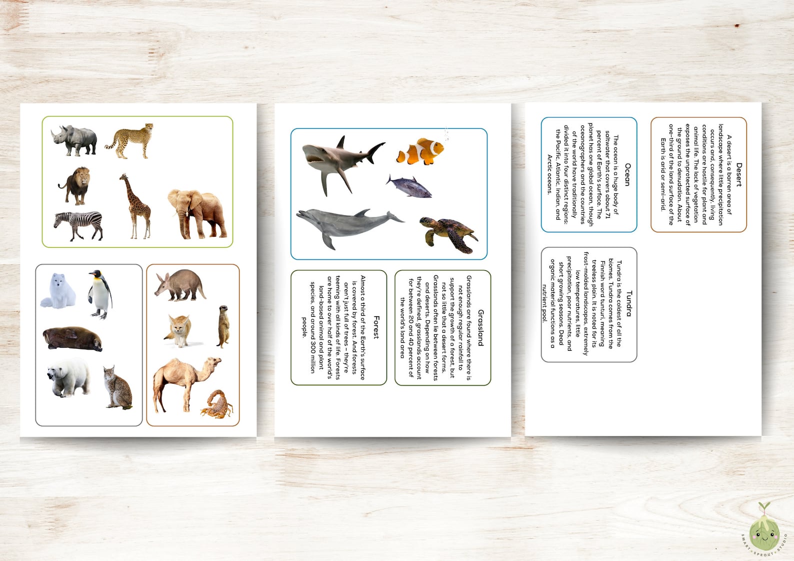 Animal Matching Habitat Unit Study Printable Homeschool Activities for ...