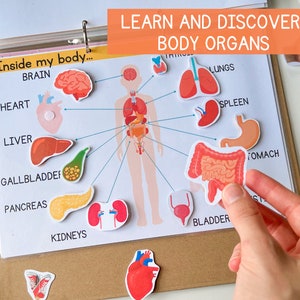 My Body Busy Book Printable Toddler Activities Preschool Curriculum ...