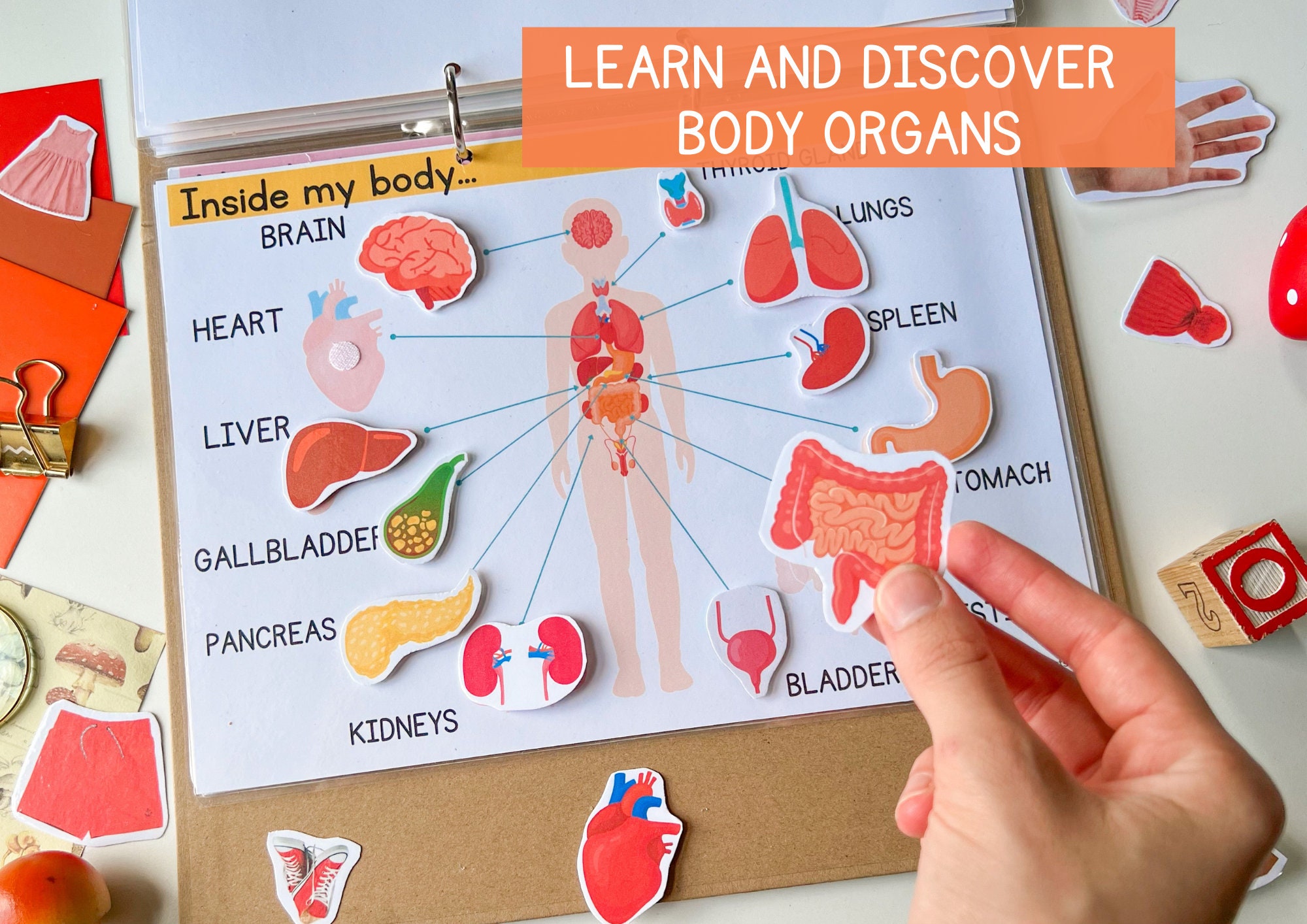 My Body Busy Book Printable Toddler Activities Preschool Curriculum ...