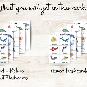 Ocean Flash Cards Animal Flash Cards for Toddlers Montessori Homeschool ...