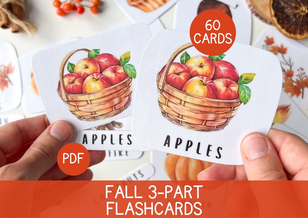 Fall Flash Cards Autumn Flash Cards for Toddlers Montessori Homeschool ...
